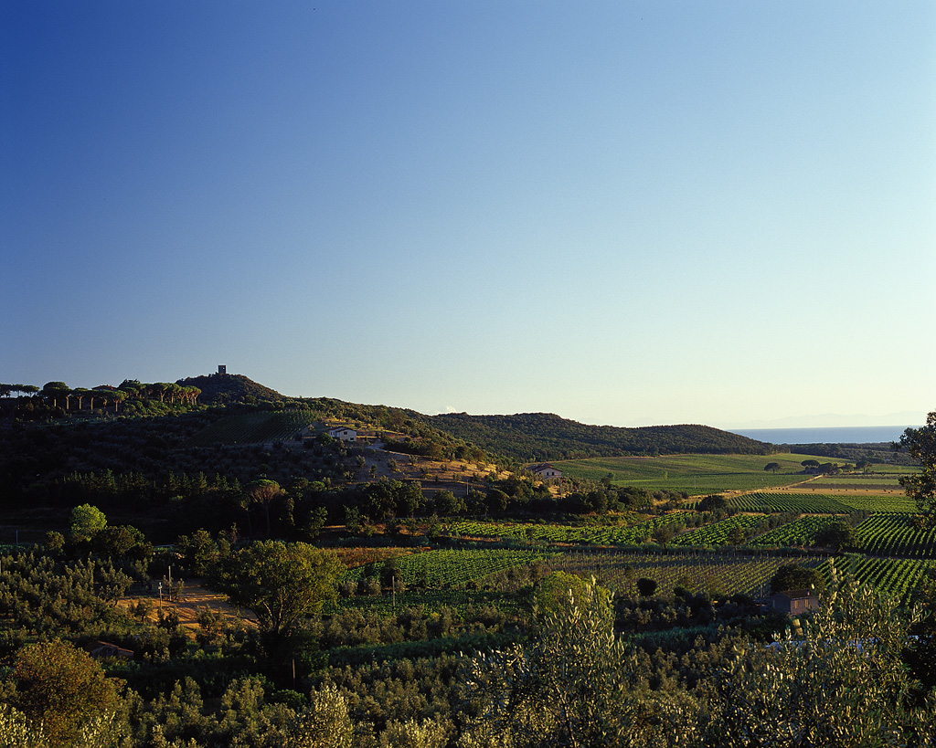 Genius Loci, Castagneto Carducci