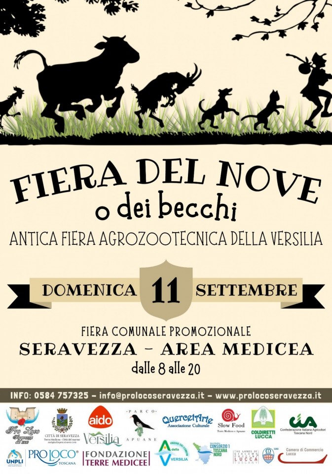 Fiera dei Becchi o del Nove, Seravezza